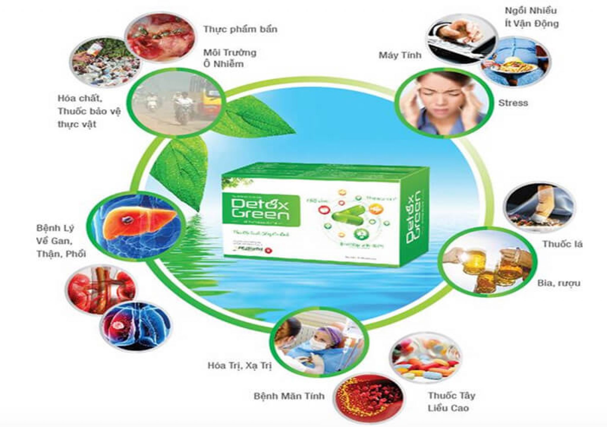 Thải độc Detox Green có công dụng gì? Mua sản phẩm chính hãng ở đâu?